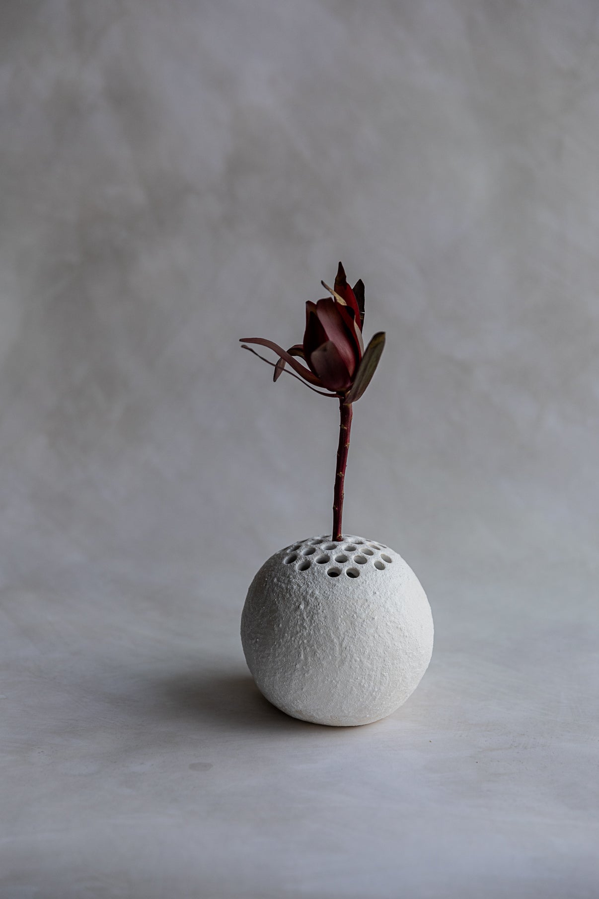 Seed Vessel – dollstudios